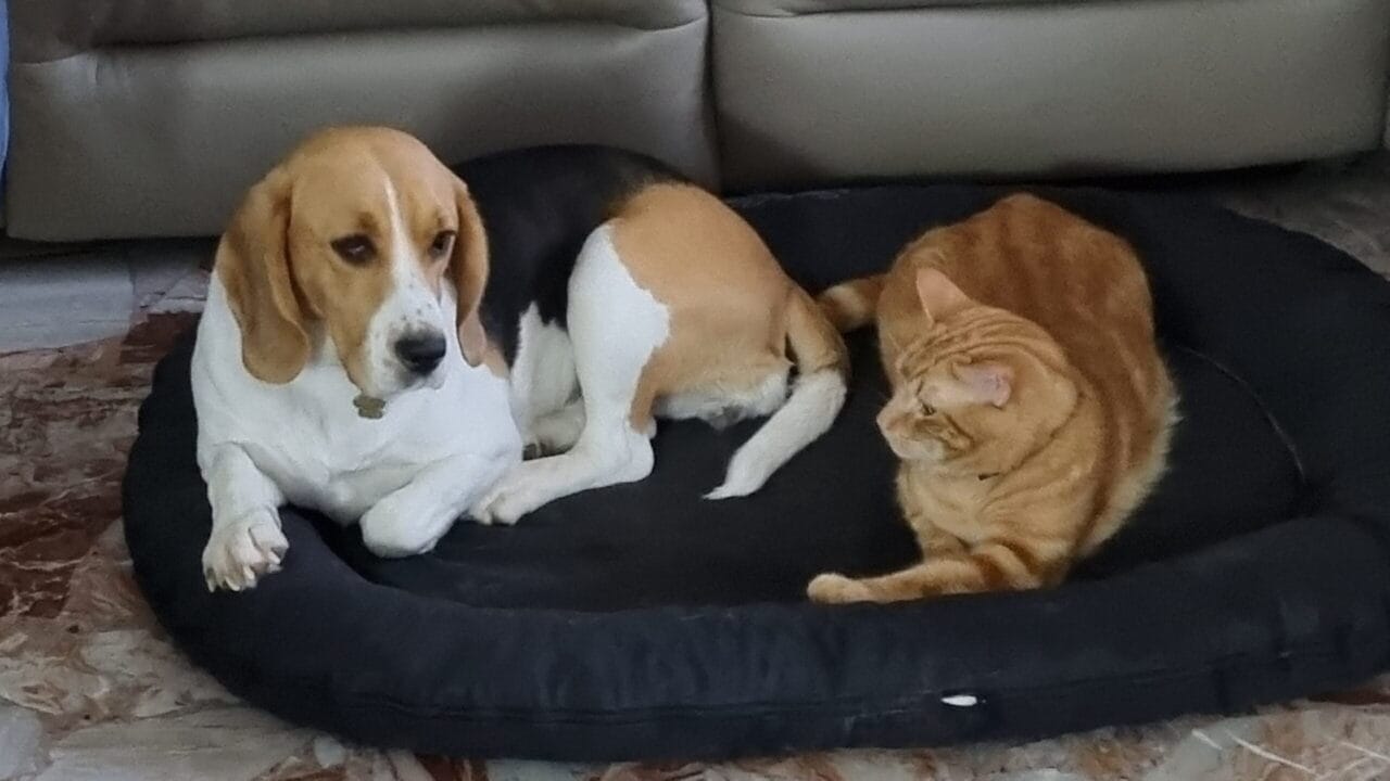 La Parola del 14 giugno 2022 - Eugenio Ruberto