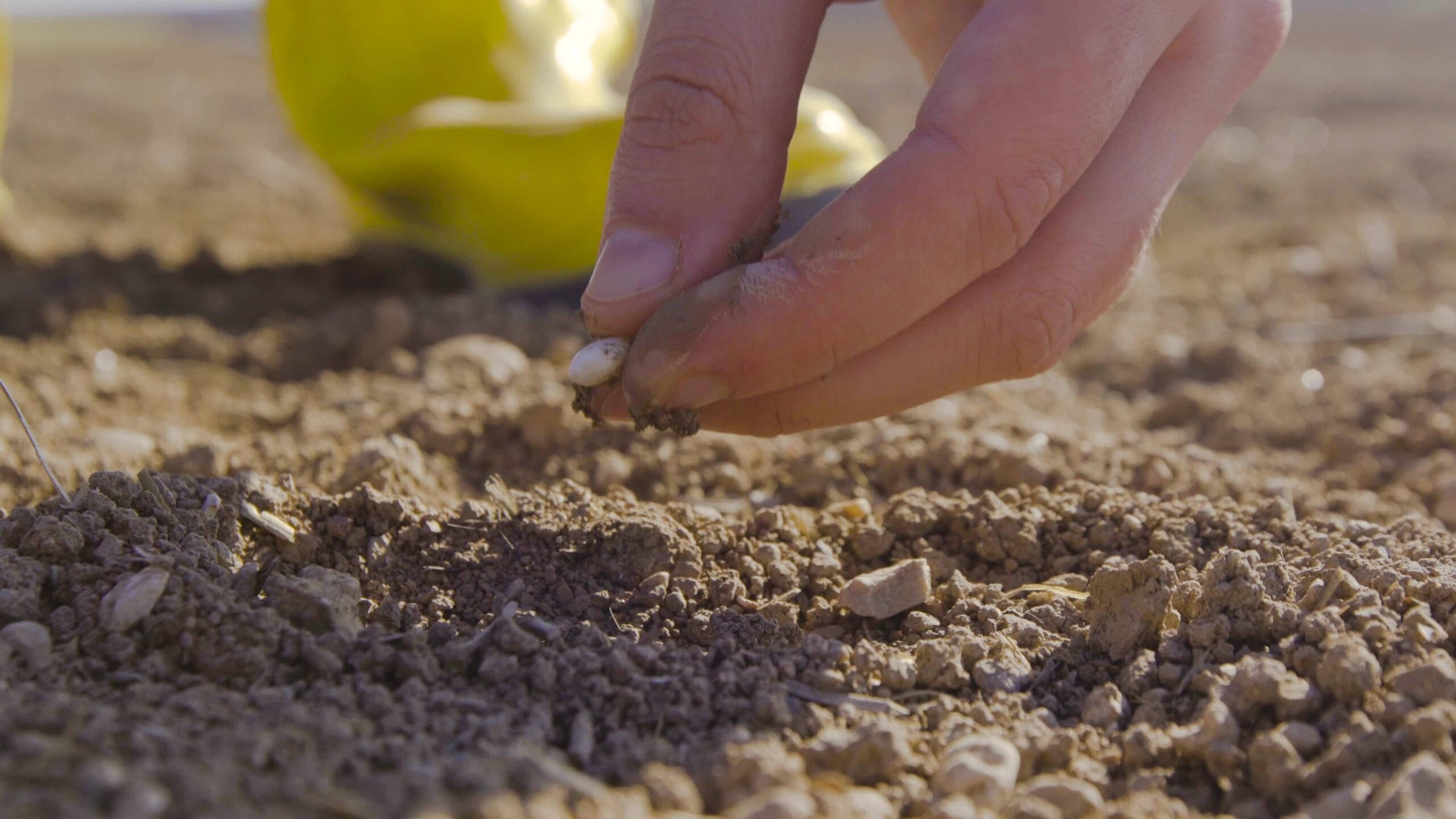 La Parola del 26 luglio 2024 - Eugenio Ruberto